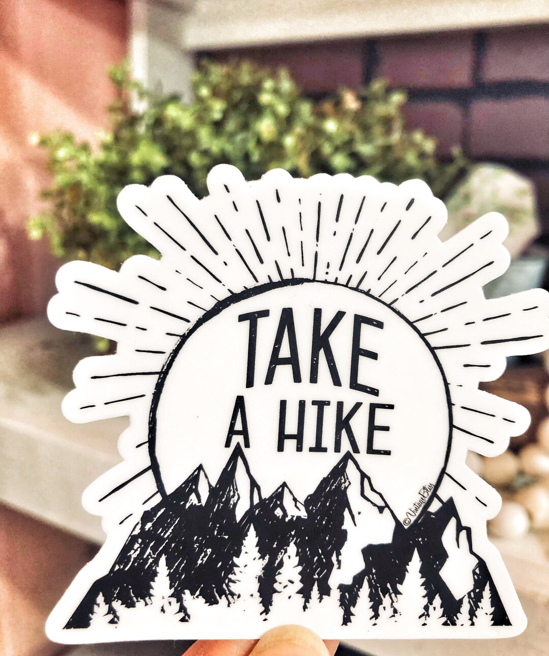 Take A Hike Mountains Sticker - Etsy
