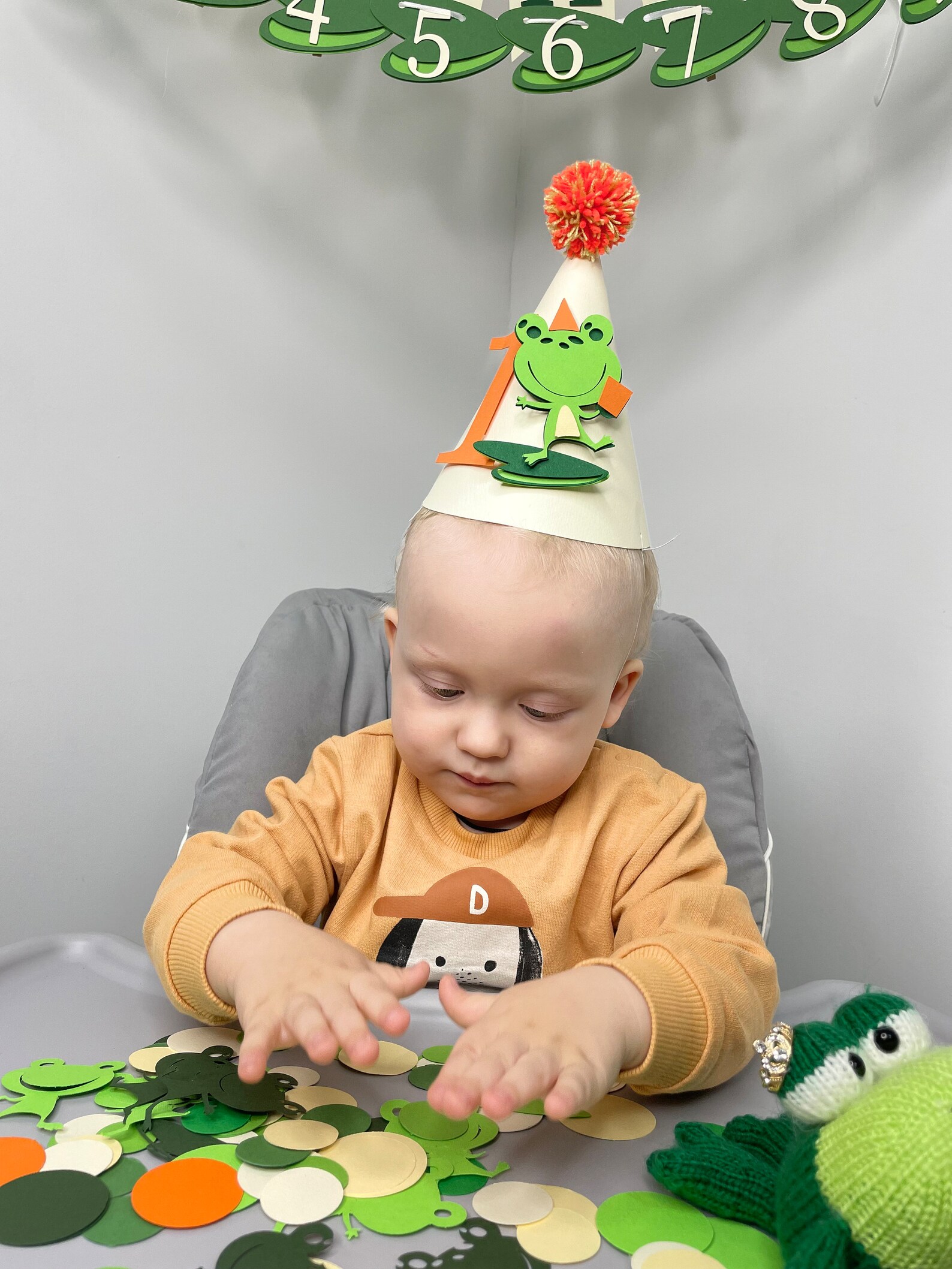 Frog Party Hat Frog One Green First Birthday Frog Birthday Boy Birthday ...