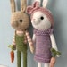 Amigurumi Knit Little Bunny Patterns Digital Download - Etsy