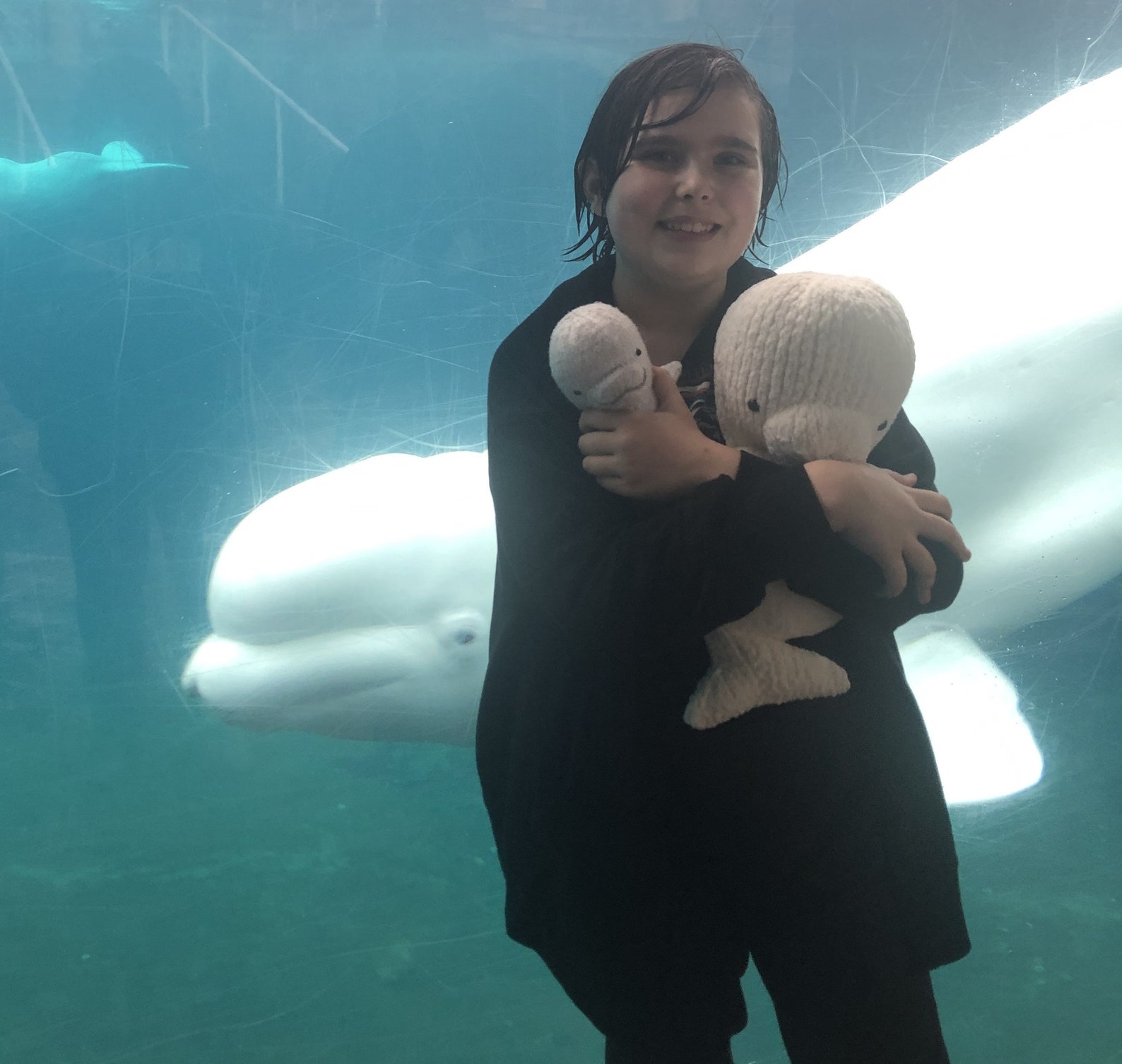 Amigurumi Knit Beluga Whale Pattern Digital Download - Etsy