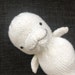 Amigurumi Knit Beluga Whale Pattern Digital Download - Etsy