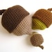 Amigurumi Crochet Nesting Acorns Pattern Digital Download | Etsy