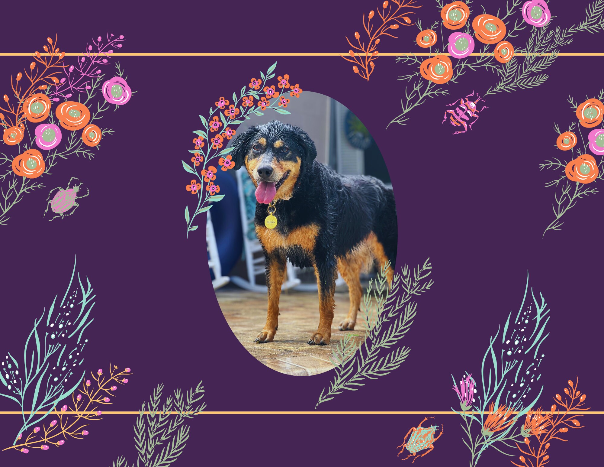 Wall Calendar 2024, Dog Themed Wall Calendar, Digital Wall Calendar ...