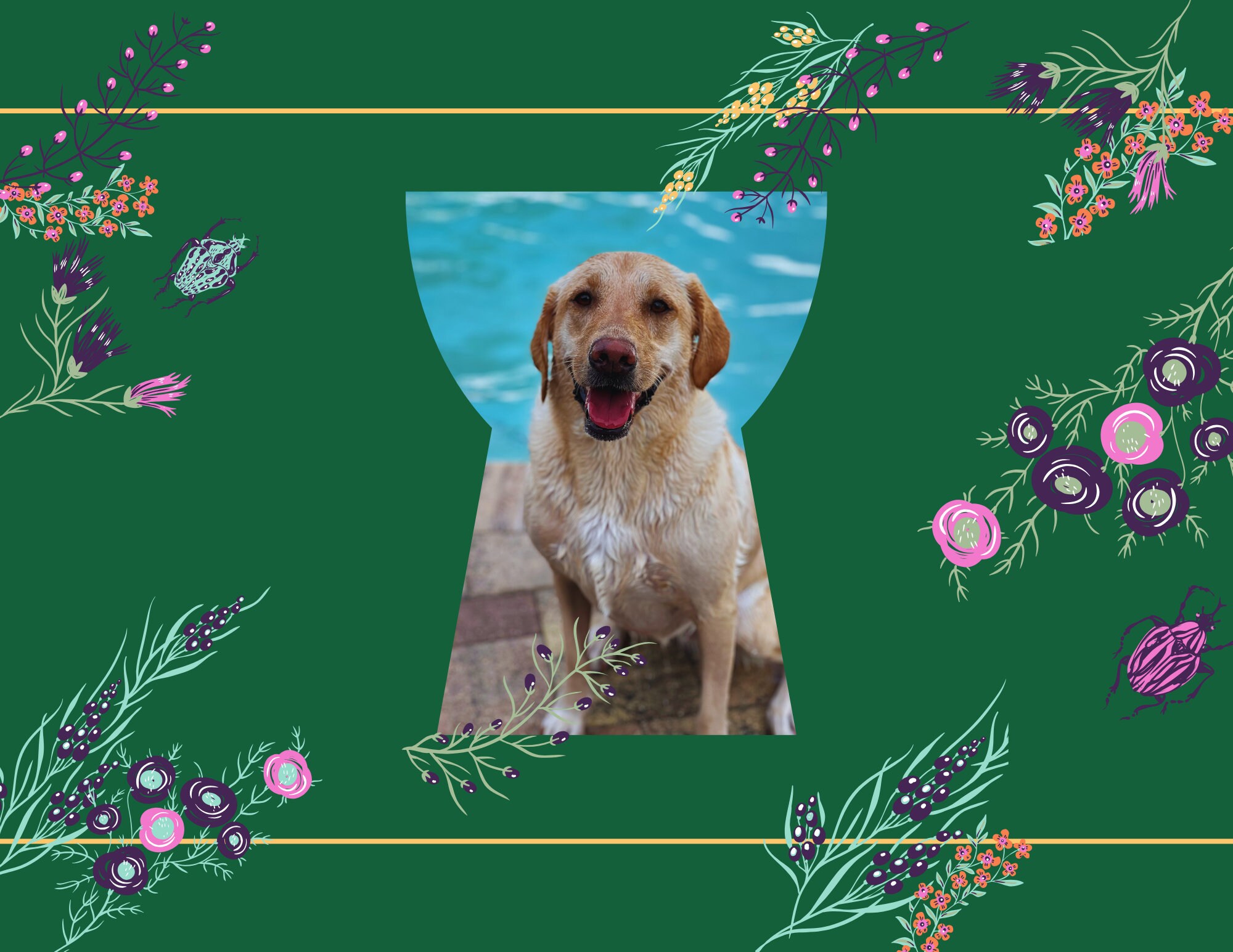 Wall Calendar 2024, Dog Themed Wall Calendar, Digital Wall Calendar ...