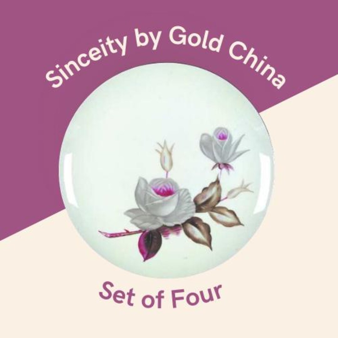Sincerity by GOLD CHINA - Elegant Porcelain Dinnerware Set, Classic ...