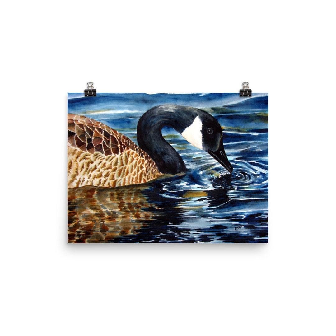Canadian Goose Watercolor Print Poster by Elizabeth Mcrorie - Etsy