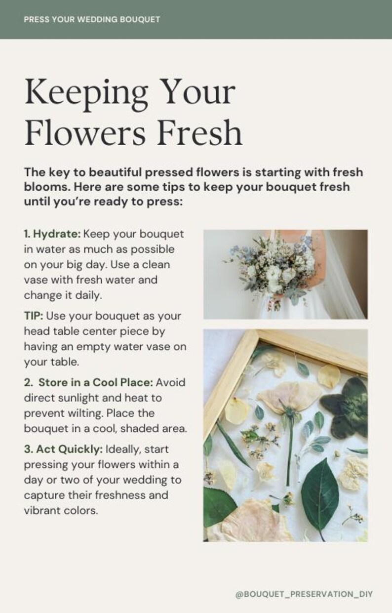 How to Press Flowers - a Beginner's Guide - Etsy