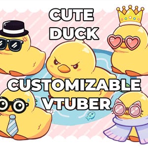 CUSTOMIZABLE VTUBER Cute Duck Ready to Use With Add-on Toggle-able ...