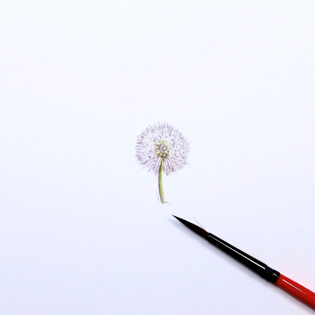 Dandelion Mini Art Flower Seed Head Original Miniature Watercolor ...