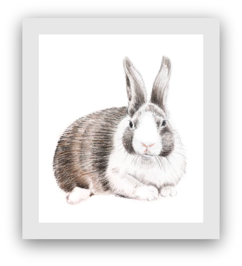 Rabbit Drawing Colored Pencil Rabbit Art Brown and White - Etsy