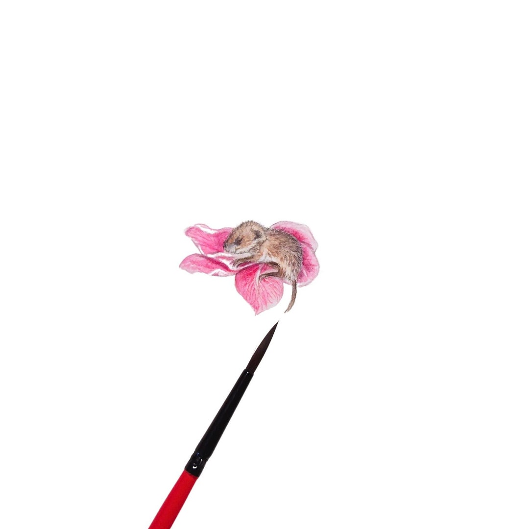 Baby Mouse Miniature Original Watercolor Painting, Mouse Sleeping on ...