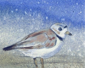 Piping Plover Print - Etsy