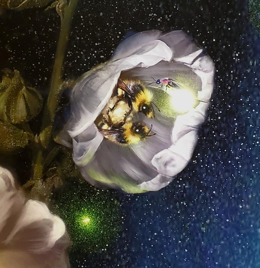 Bumblebee Art, Bees, Fireflies, Hollyhocks and Northern Lights Fine Art ...