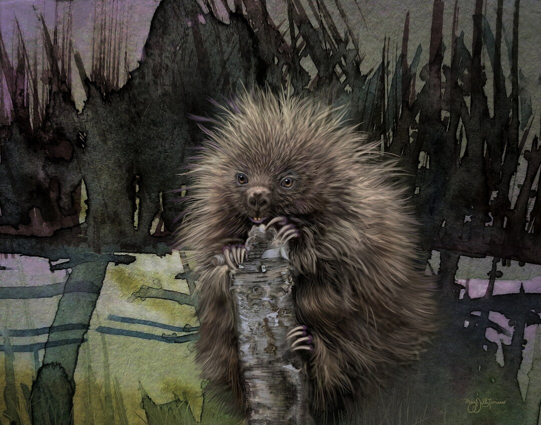 Porcupine Art Print, Porky Snacking at Night Giclee on Paper or Canvas ...