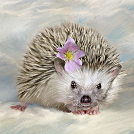 Bébé Hérisson