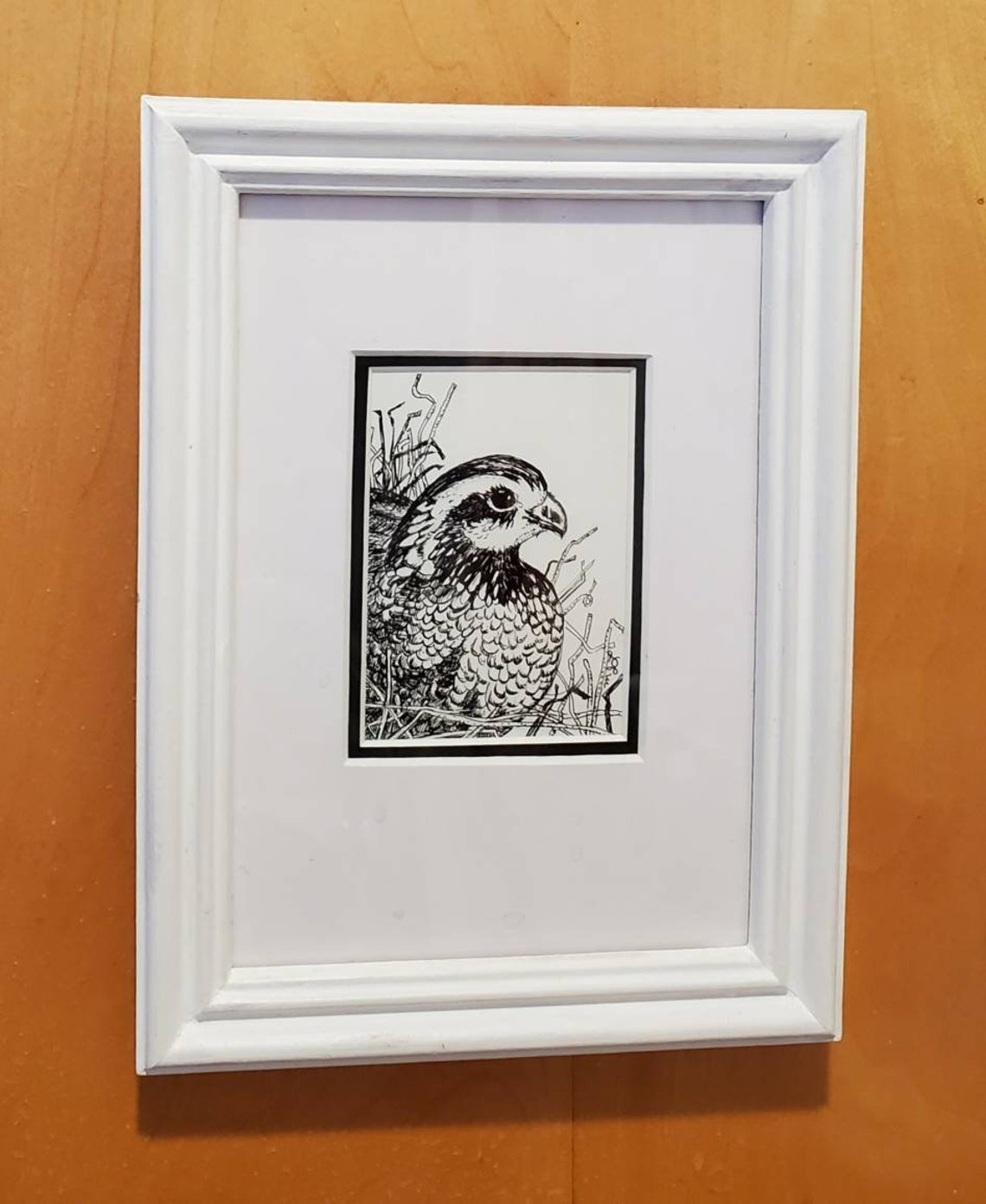 Bobwhite Quail Pen and Ink Original Drawing Game Bird - Etsy