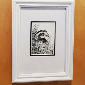 Bobwhite Quail Pen and Ink Original Drawing, Game Bird Artwork, Black ...