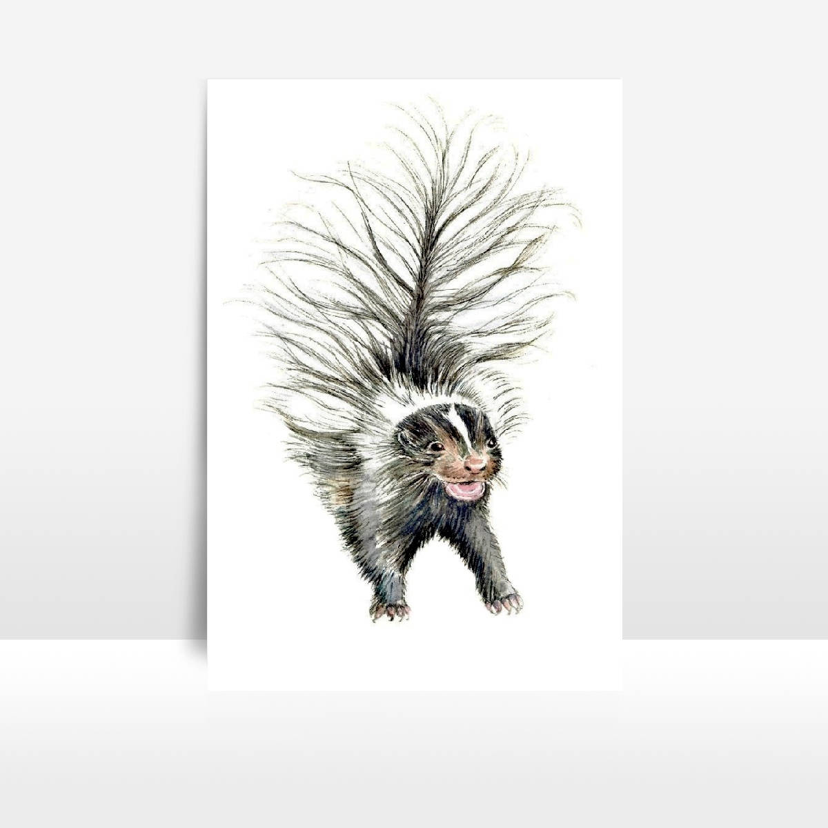 Skunk Drawing