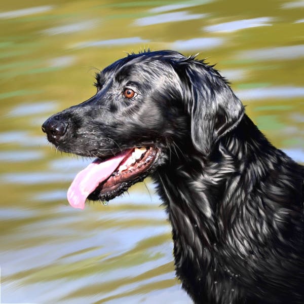 Black Lab Art - Etsy