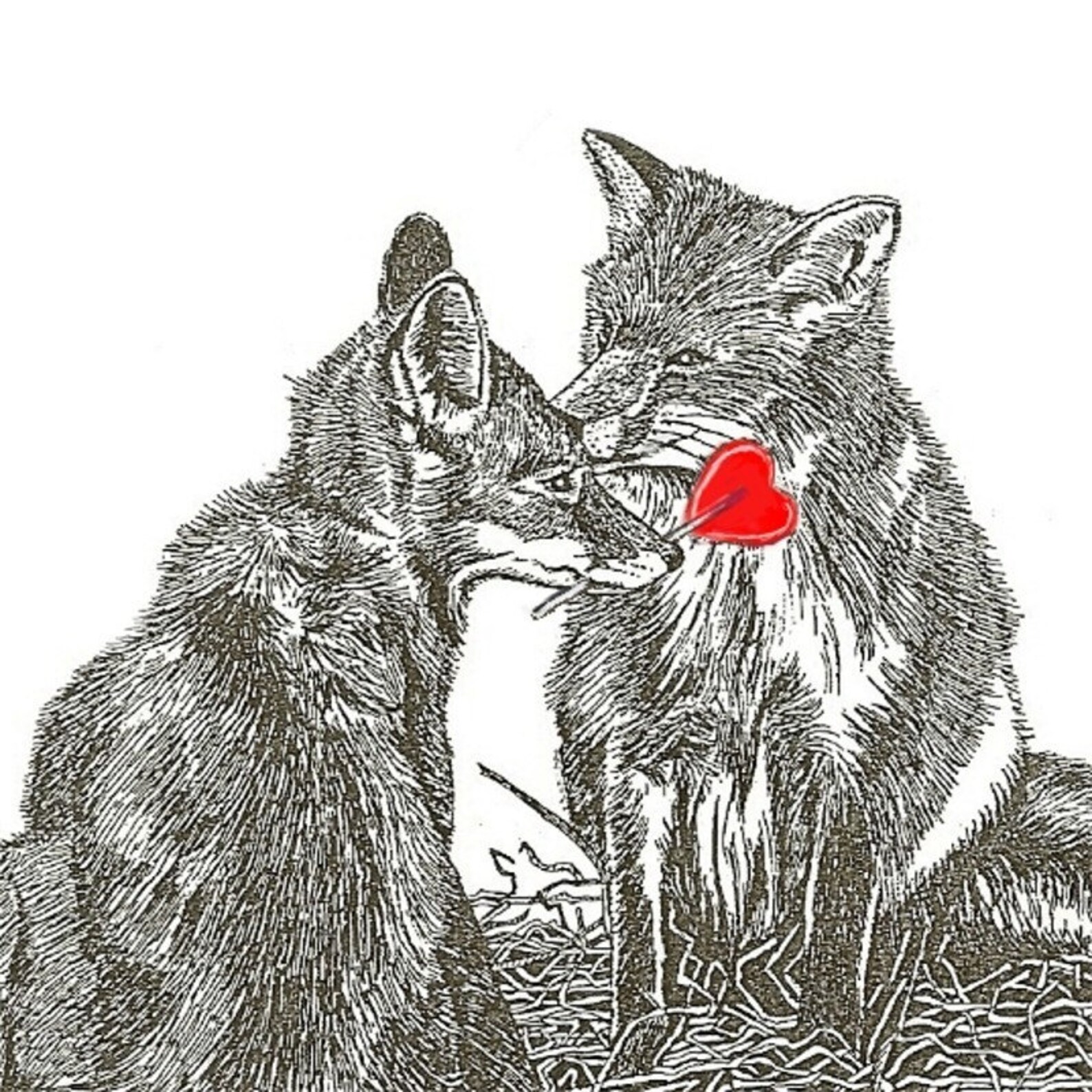 Fox Card Valentine and Heart Lollipop Red Foxes Romantic - Etsy