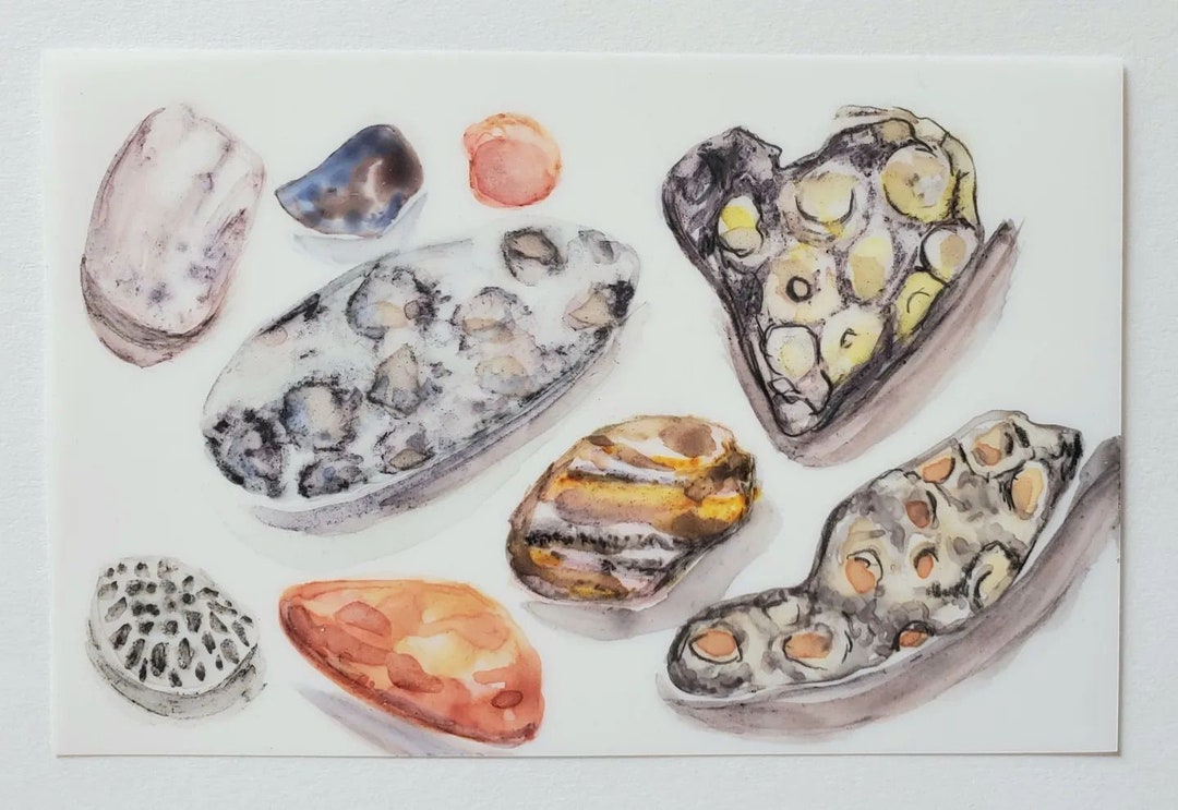 Lake Michigan Rocks Miniature Watercolor, Original Painting of Michigan ...