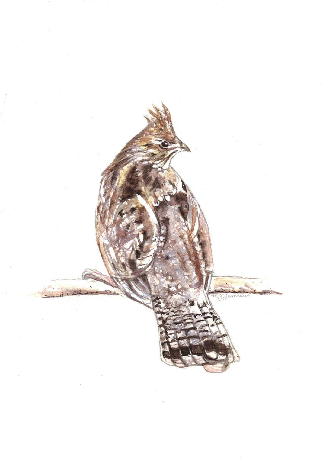 Grouse Art Ruffed Grouse Game Bird Watercolor Print Home Decor - Etsy