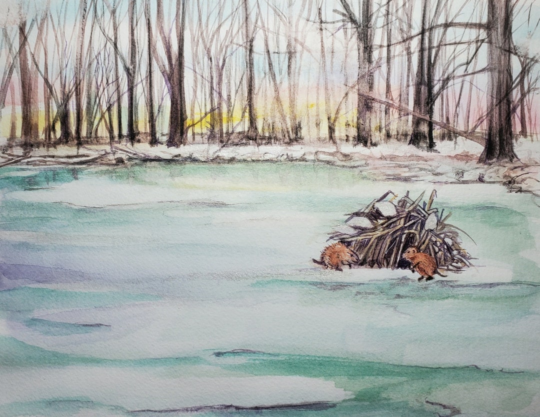Muskrat Painting, Original Watercolor Painting, Muskrats and Lodge in ...