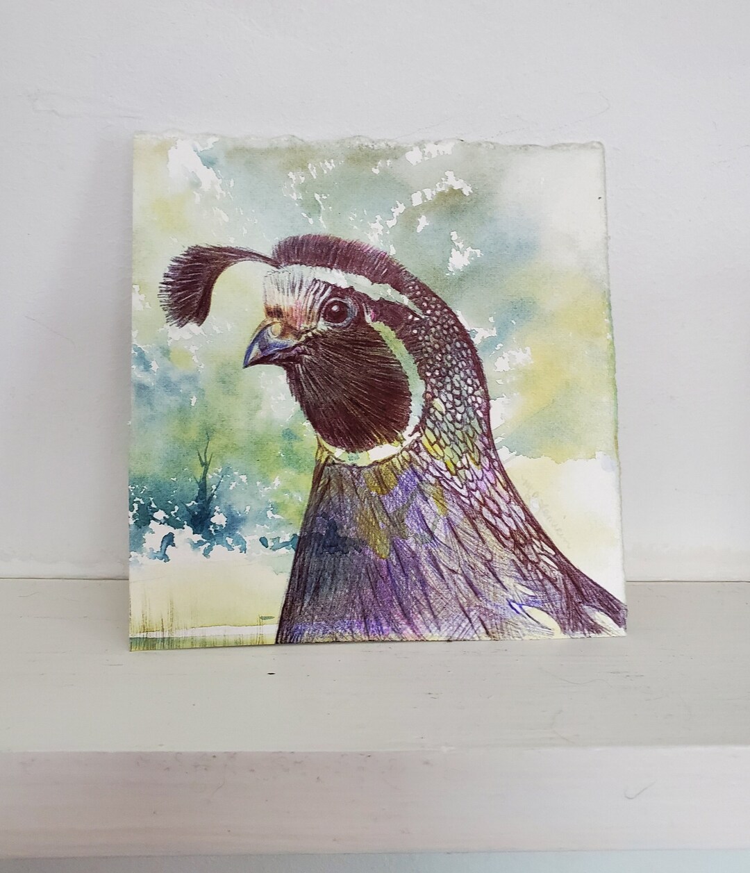 Quail Watercolor and Ball Point Ink Painting on Watercolor Paper ...