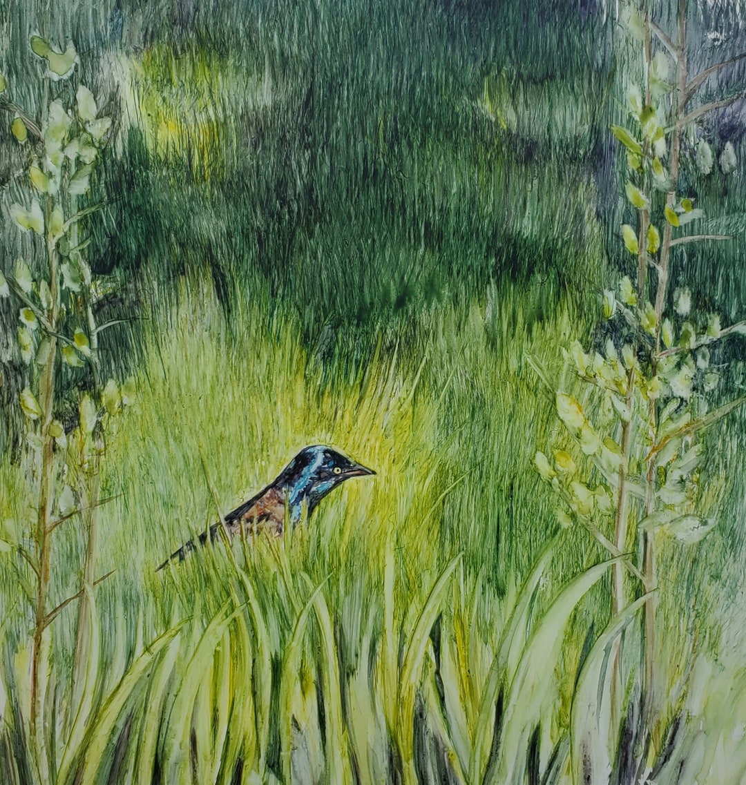 Grackle Painting, Original Watercolor, Common Grackle Walking in Grass ...