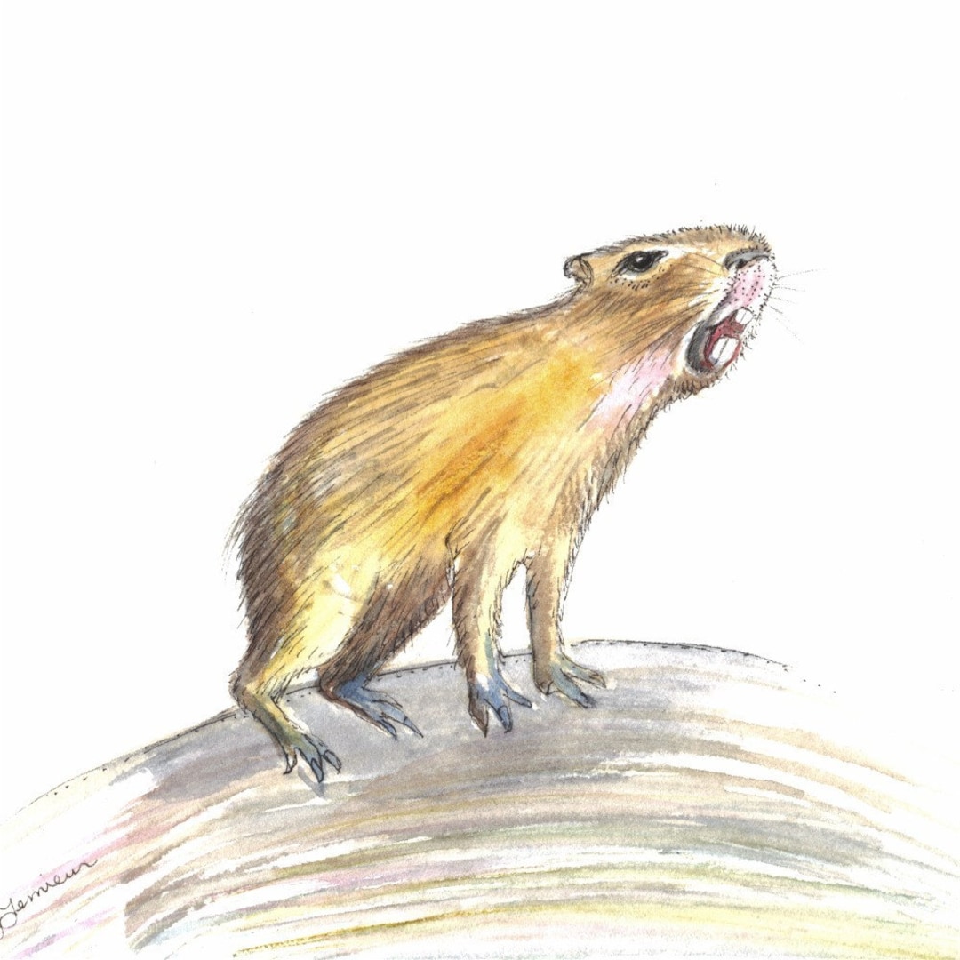 Ground Hog Painting, Original Artwork, Baby Gift, Capybara Art - Etsy