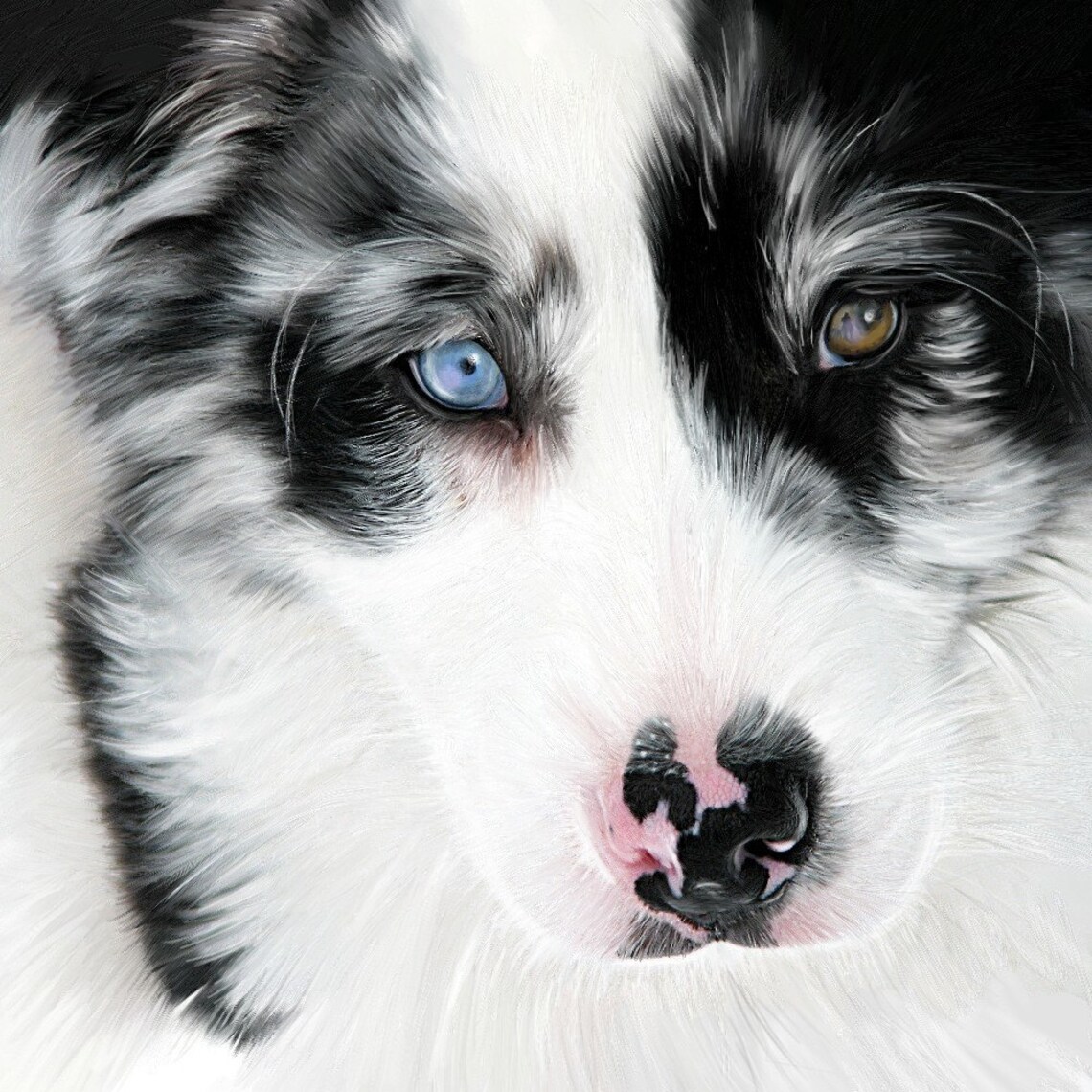 Custom Pet Portrait Realistic Pet Art Hand Painted Digital - Etsy