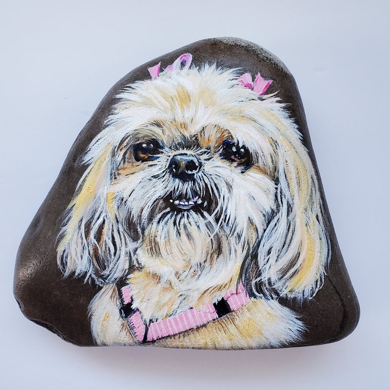 Funny Painted Rocks - Etsy