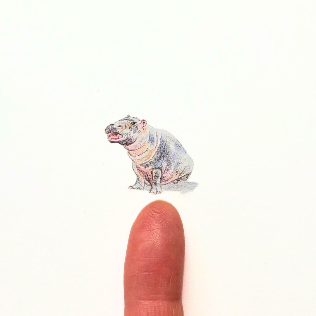 Baby Hippo Miniature Watercolor Painting, Tiny Hippopotamus Art - Etsy