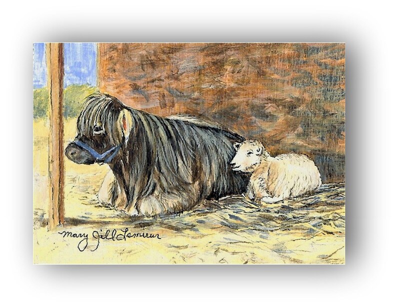 Scottish Highland Cow and Sheep Art, Fine Art Print of Farm Friends ...
