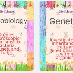 Branches of Science Posters - Canva Template, Classroom Decor, Science ...