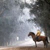 Kualoa Ranch - Etsy