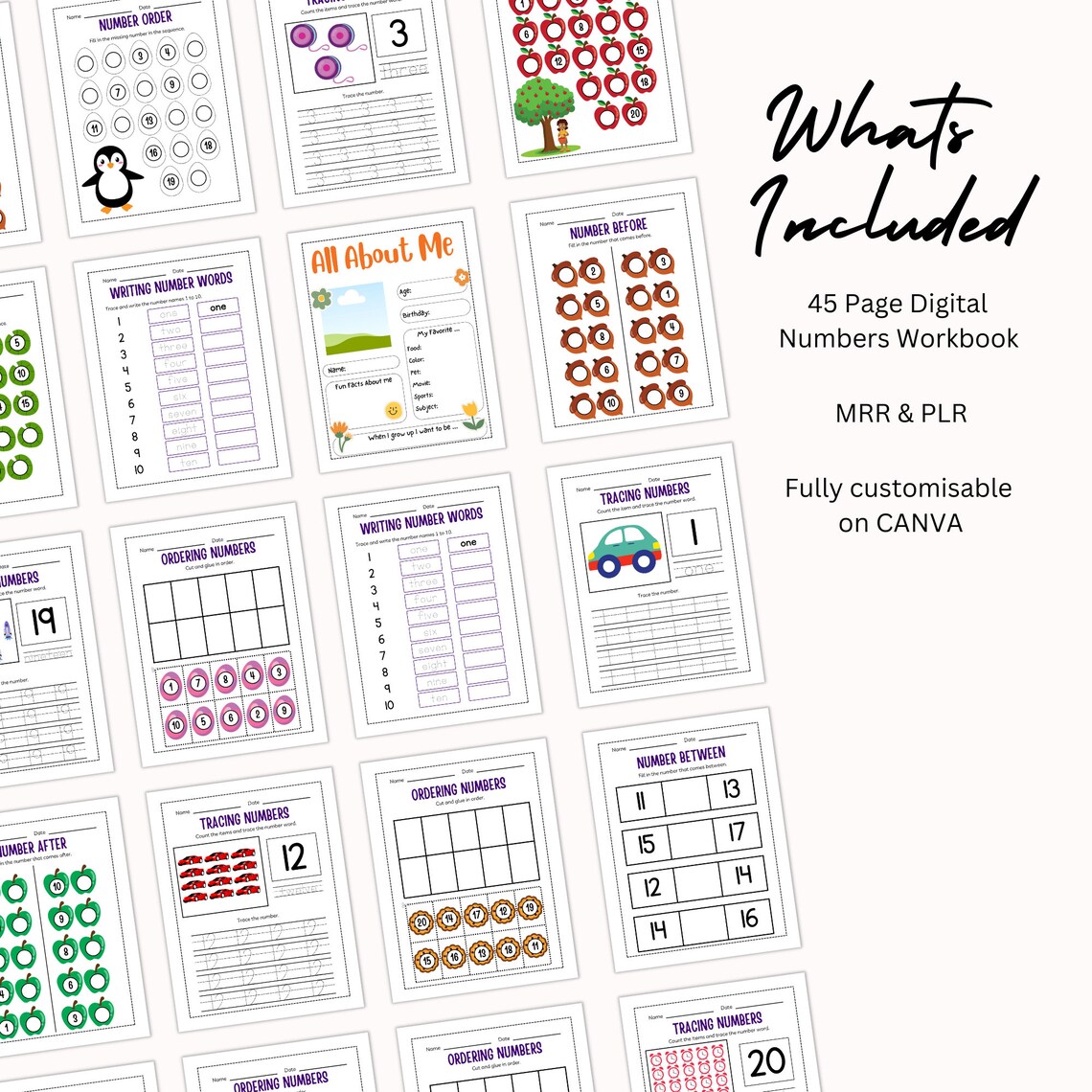 Kindergarten Kids Numbers Workbook With Master Resell Rights | Done for ...