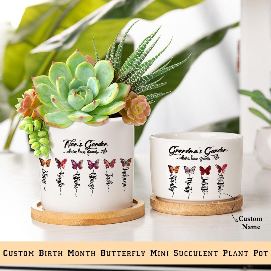 Custom Birth Flowers Mini Succulent Plant Pot, Small Cute Cactus ...