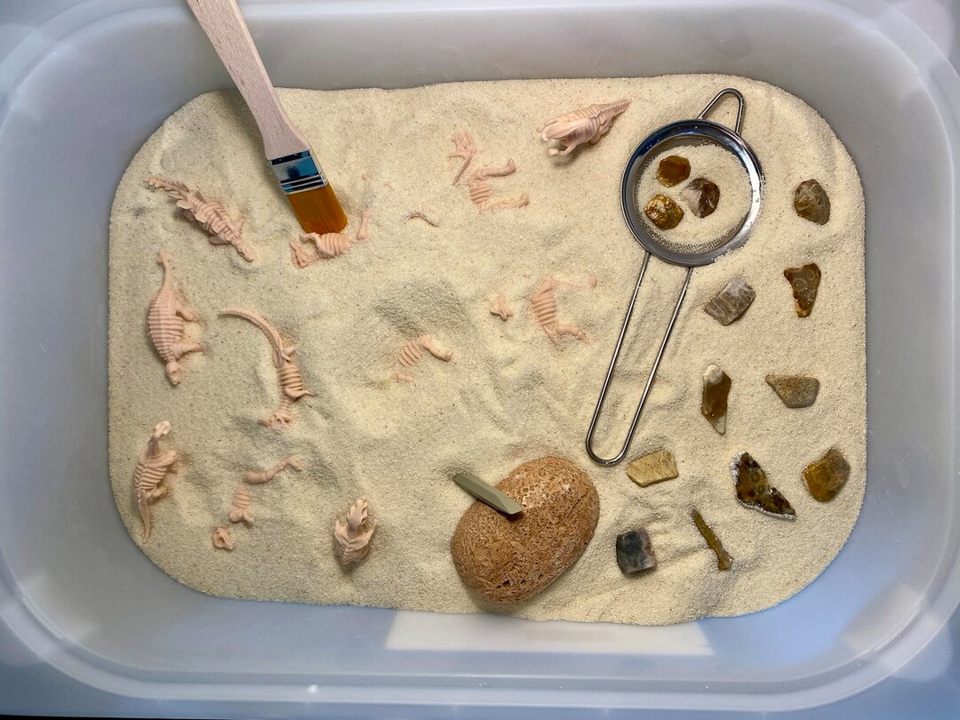 Dinosaur Sensory Box: Unearth a Prehistoric Adventure! Develop Sensory ...