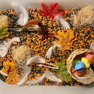 Little Bird's Nest Sensory Box: Explore a Bird's World! Develop Sensory ...
