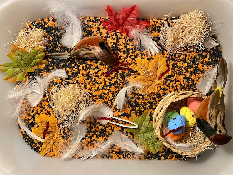 Little Bird's Nest Sensory Box: Explore a Bird's World! Develop Sensory ...