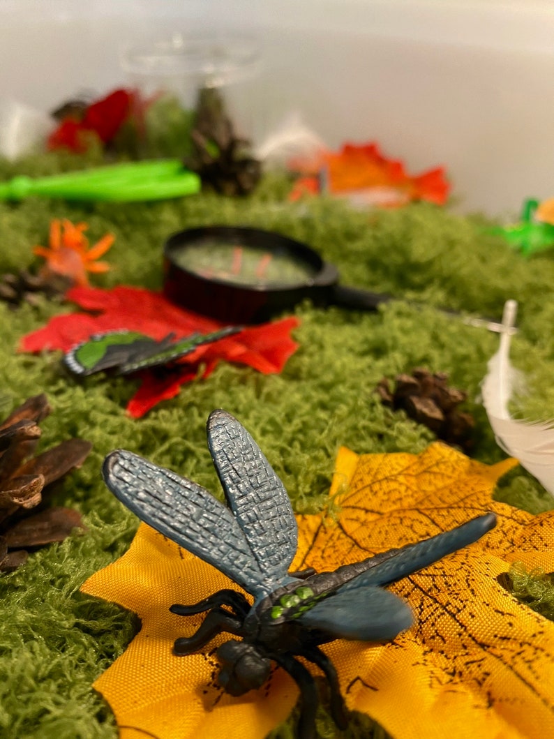 Dig In! A Bug-themed Sensory Box for Little Explorers: Develop Sensory ...
