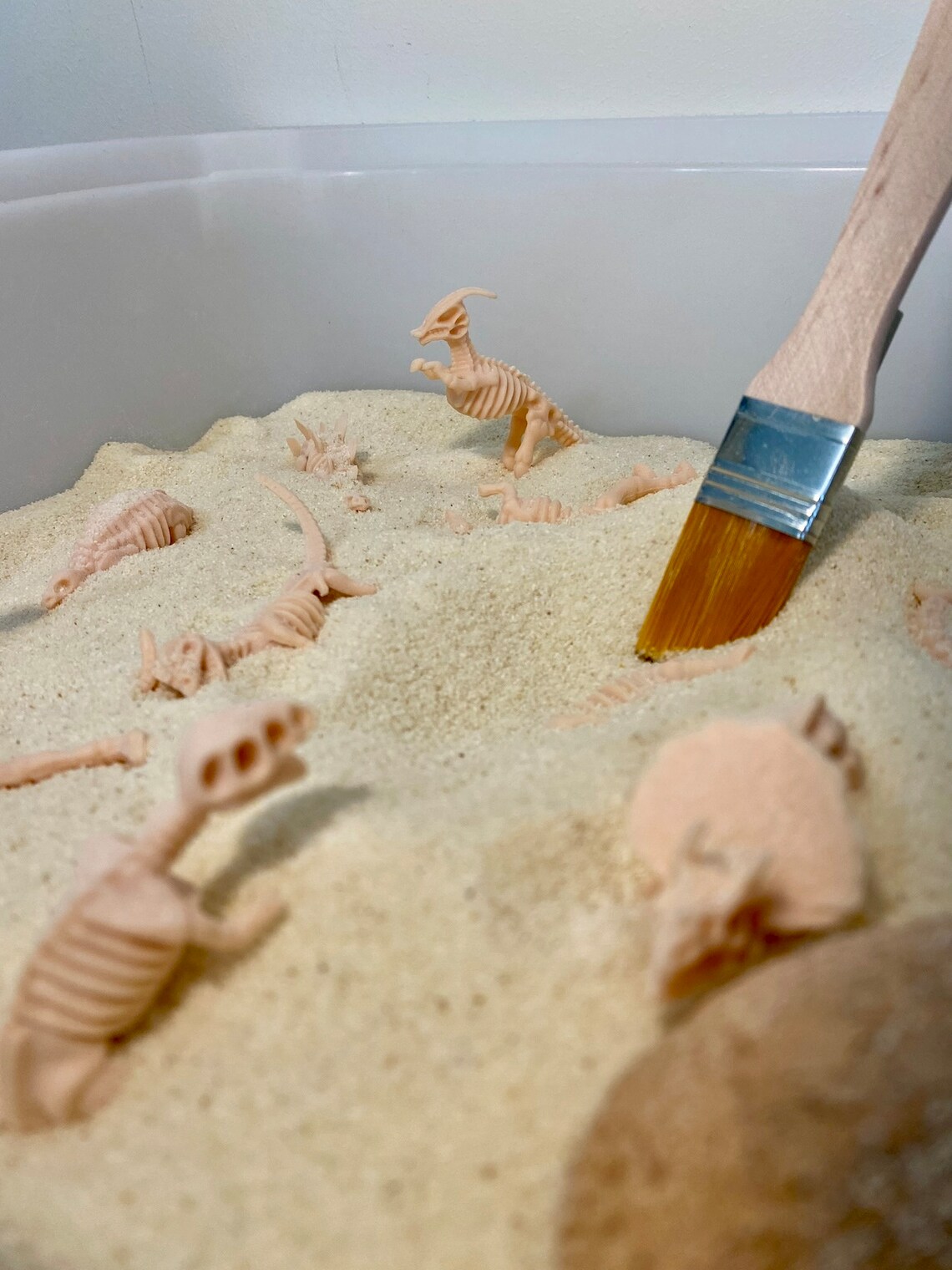 Dinosaur Sensory Box: Unearth a Prehistoric Adventure! Develop Sensory ...