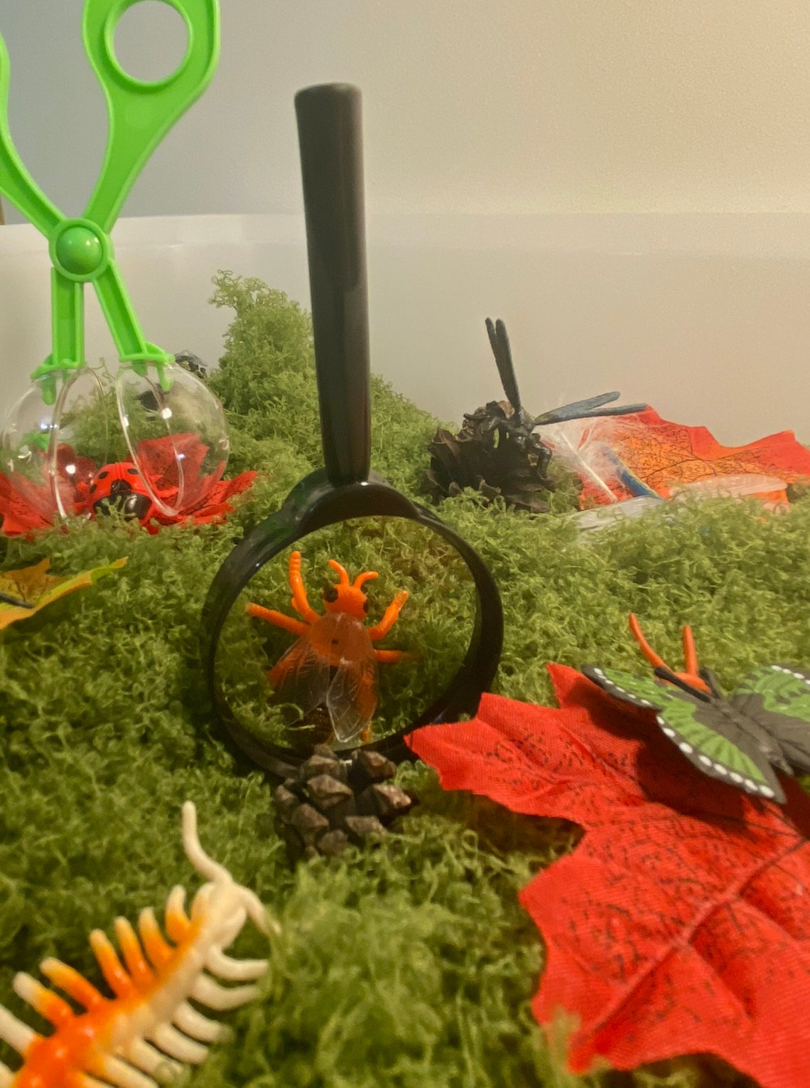 Dig In! A Bug-themed Sensory Box for Little Explorers: Develop Sensory ...