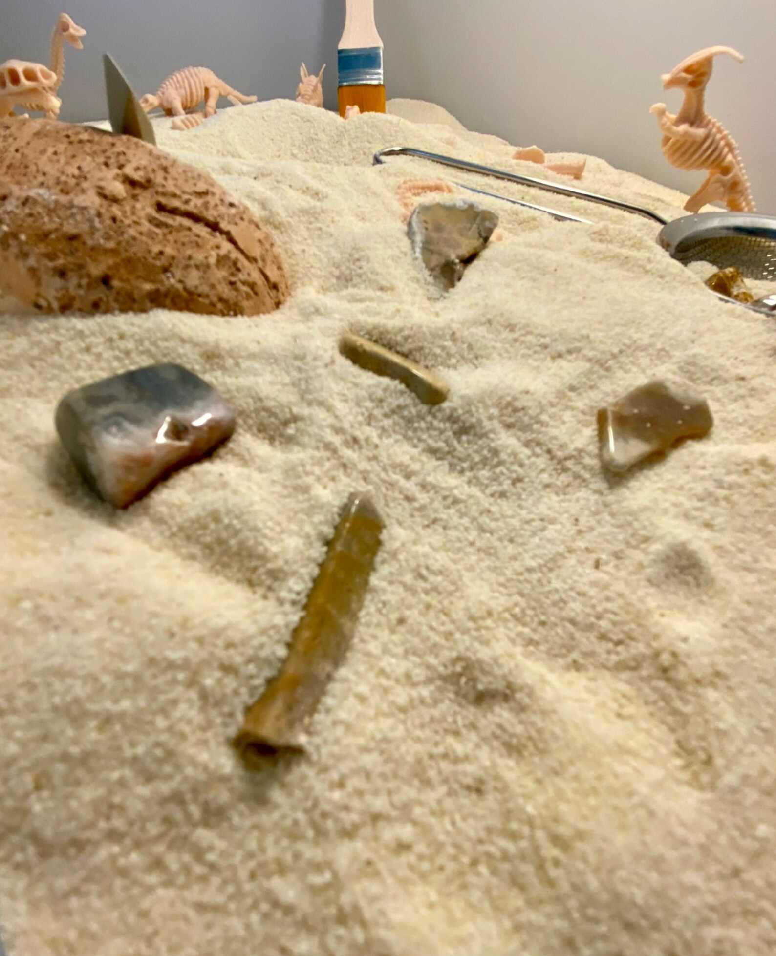 Dinosaur Sensory Box: Unearth a Prehistoric Adventure! Develop Sensory ...