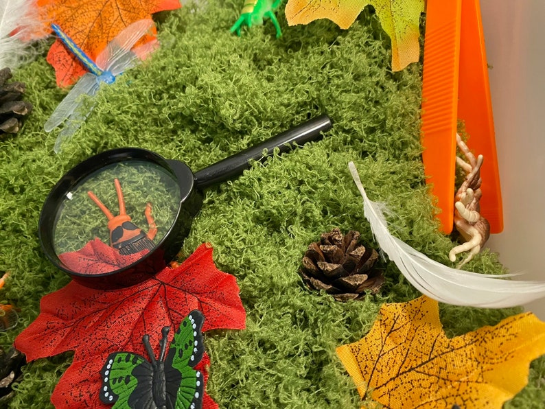 Dig In! A Bug-themed Sensory Box for Little Explorers: Develop Sensory ...
