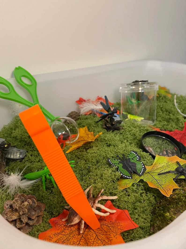 Dig In! A Bug-themed Sensory Box for Little Explorers: Develop Sensory ...