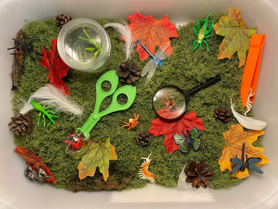 Dig In! A Bug-themed Sensory Box for Little Explorers: Develop Sensory ...