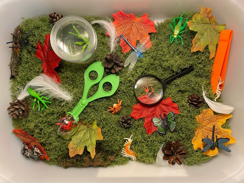 Dig In! A Bug-themed Sensory Box for Little Explorers: Develop Sensory ...
