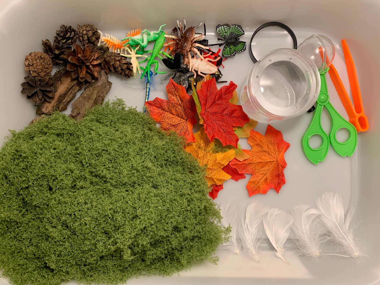 Dig In! A Bug-themed Sensory Box for Little Explorers: Develop Sensory ...